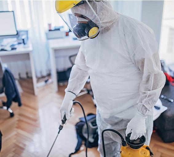 Fumigation Services In Lahore - Approved & Certified.